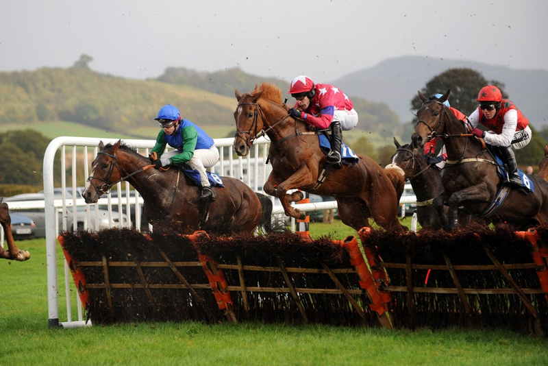 The GOAT (Greatest of all time)! - The RCA reviewers give their take on ...