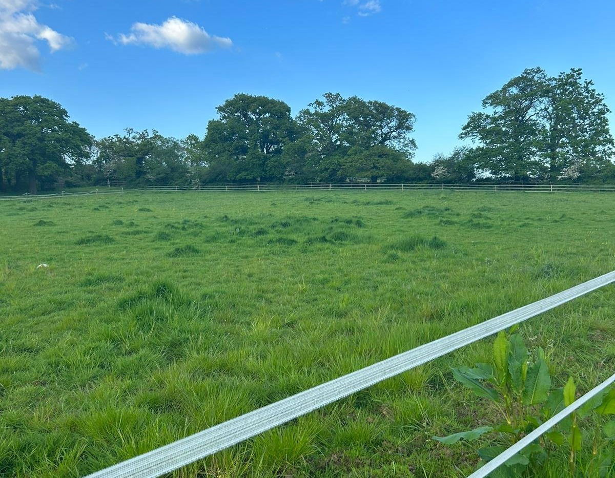 Livery Yard, Riding School, Equestrian Centre, North London