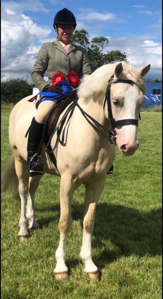 Livery Yard, Riding School, Equestrian Centre, North London