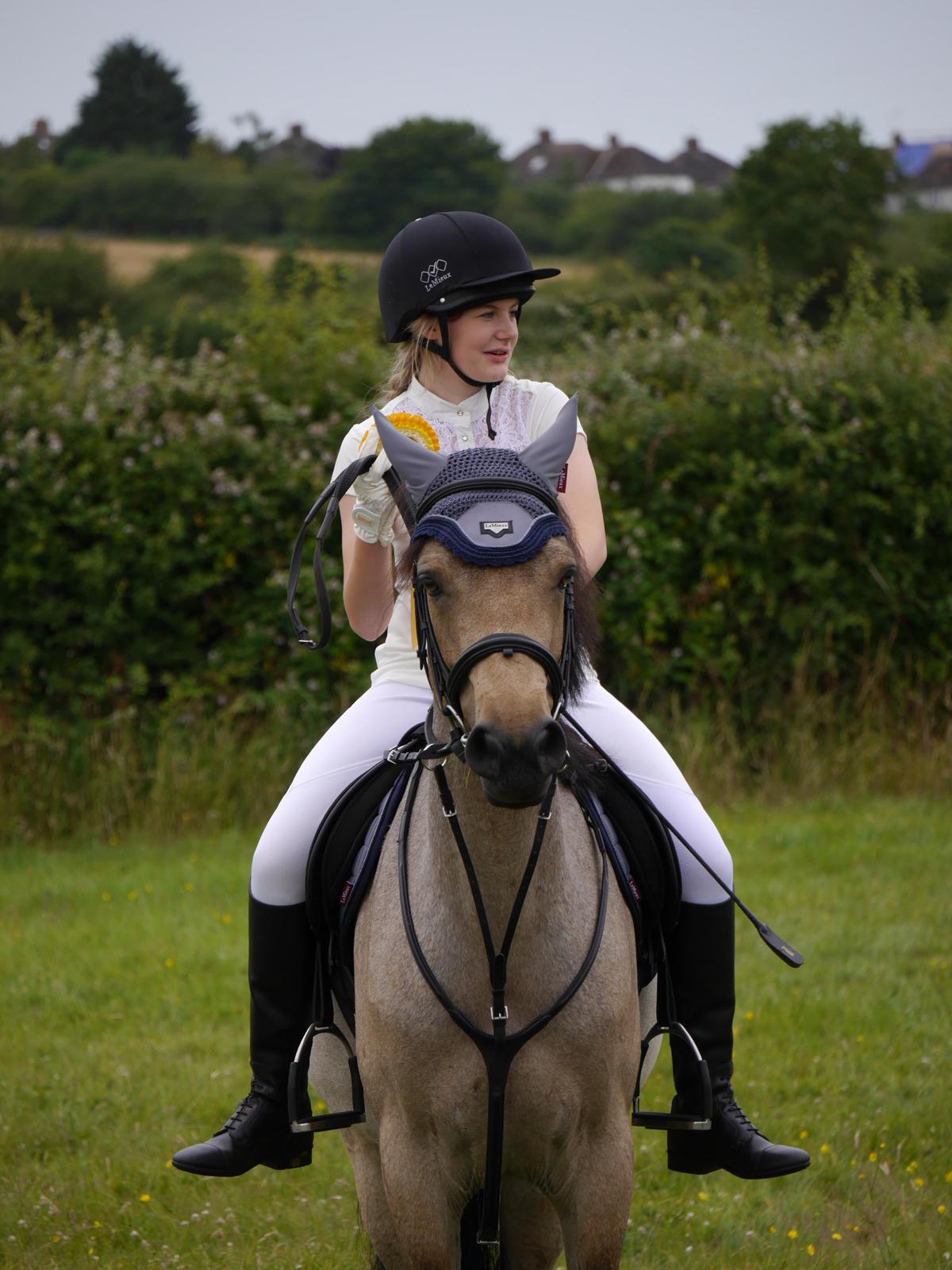 Livery Yard, Riding School, Equestrian Centre, North London
