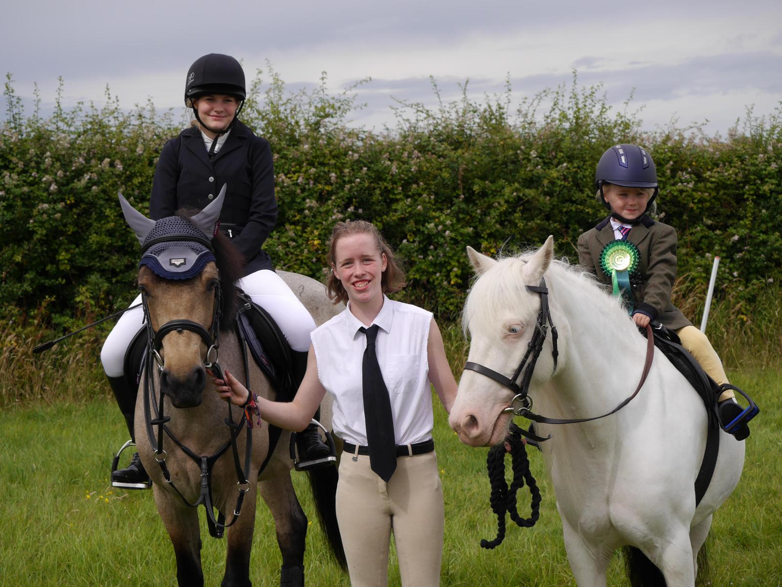 Livery Yard, Riding School, Equestrian Centre, North London