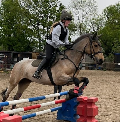 Livery Yard, Riding School, Equestrian Centre, North London