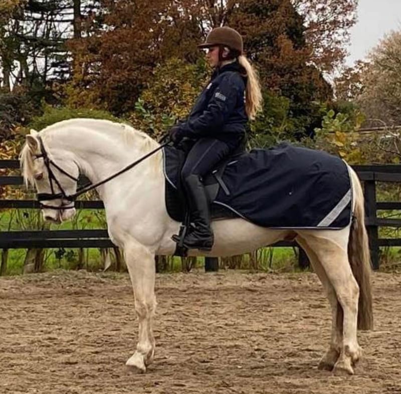 Livery Yard, Riding School, Equestrian Centre, North London