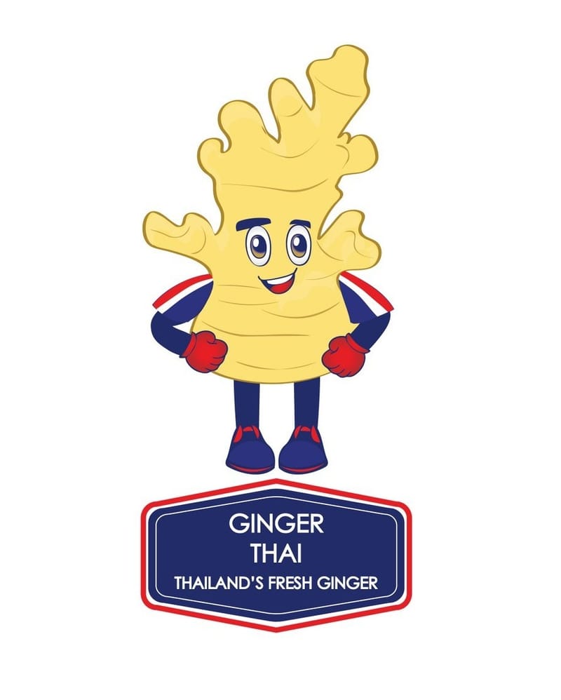 Meet Ginger Jo: The Beloved Mascot of Ginger Thai Brands - GINGER THAI
