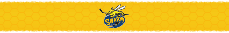 Manchester Swarm