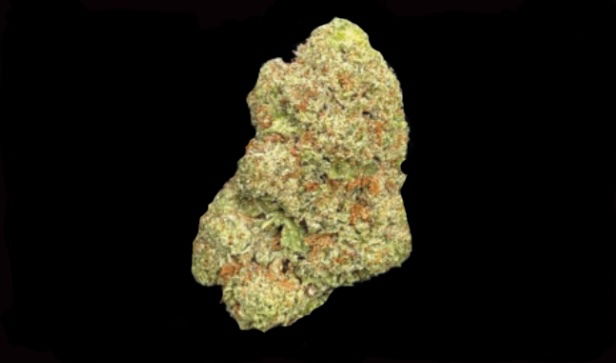 Auto Green Monster strain information