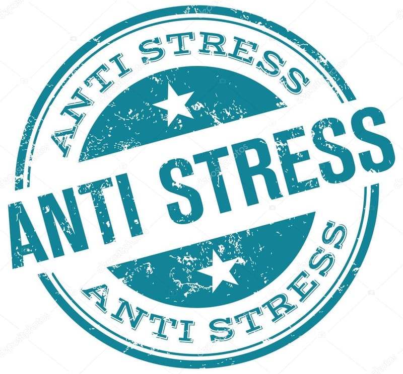 10 Techniques Antistress du Monde Entier