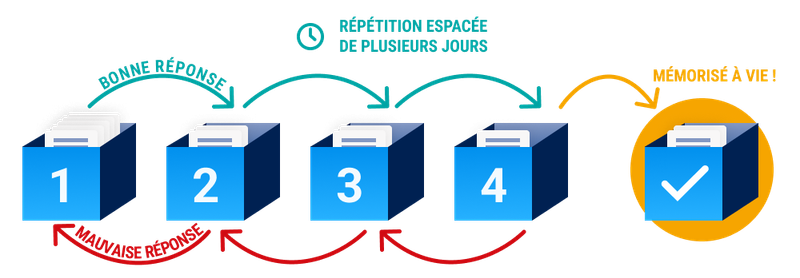 Le Système de Leitner : Maximisez votre Apprentissage