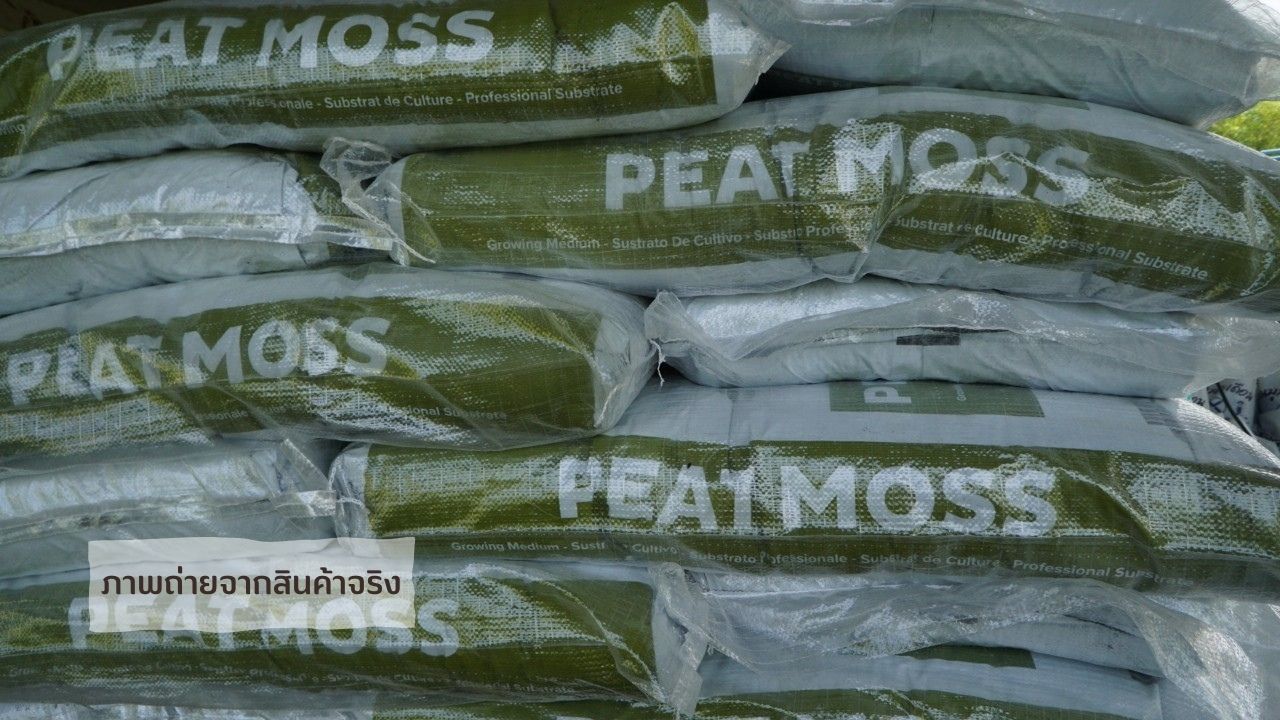 " PEAT MOSS " What It Is And How To Use It Right