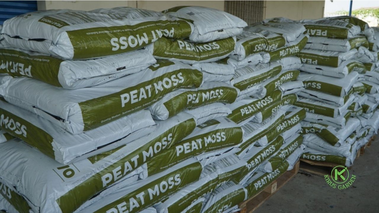 " PEAT MOSS " What It Is And How To Use It Right