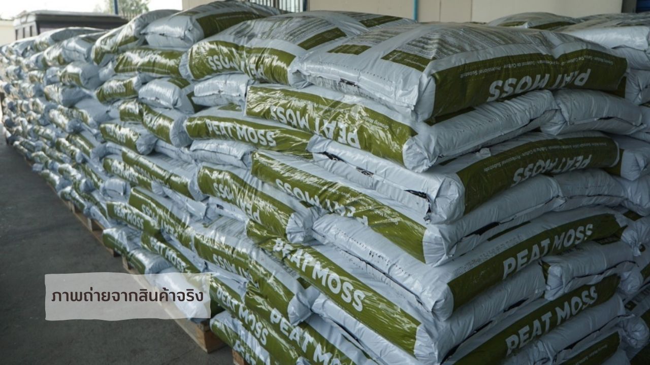 " PEAT MOSS " What It Is And How To Use It Right