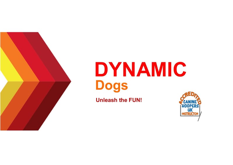 Dynamic Dogs