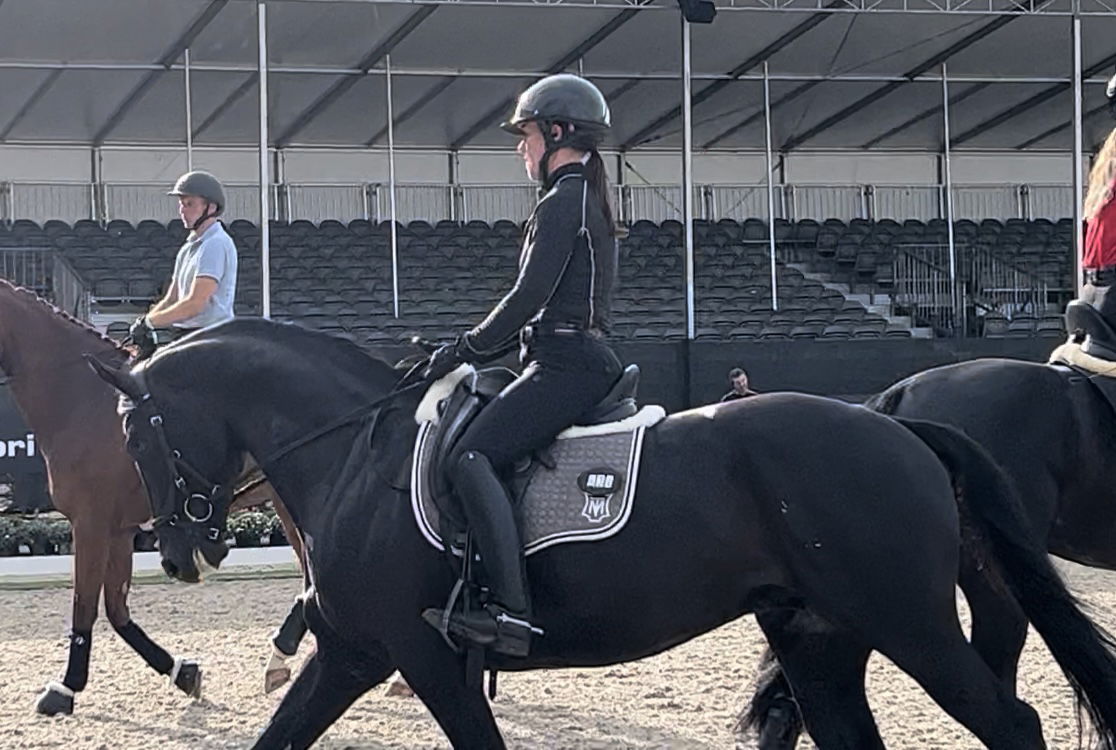 Victoria Wall & Elite Dressage Horses