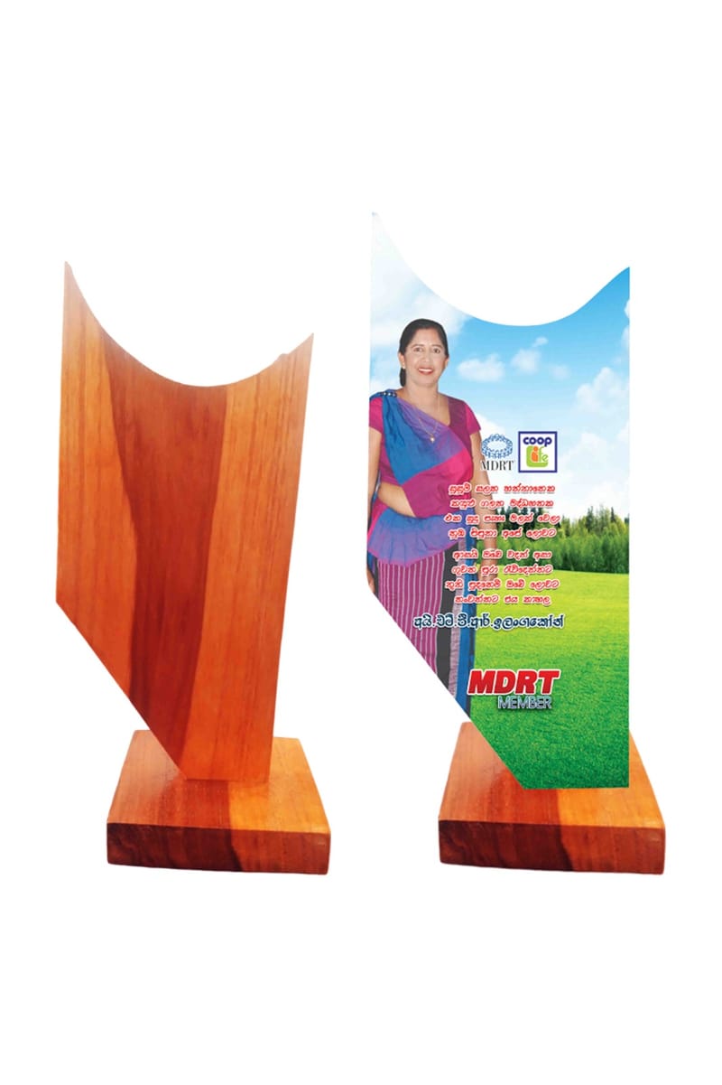 T6 Samaru Palaka - NiKOW Group