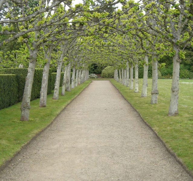 Contec SW Limited, St Austell - Online Shop