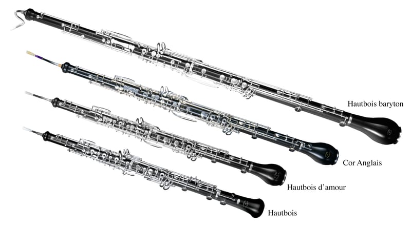 Le hautbois et sa petite famille - bemols-perplexes