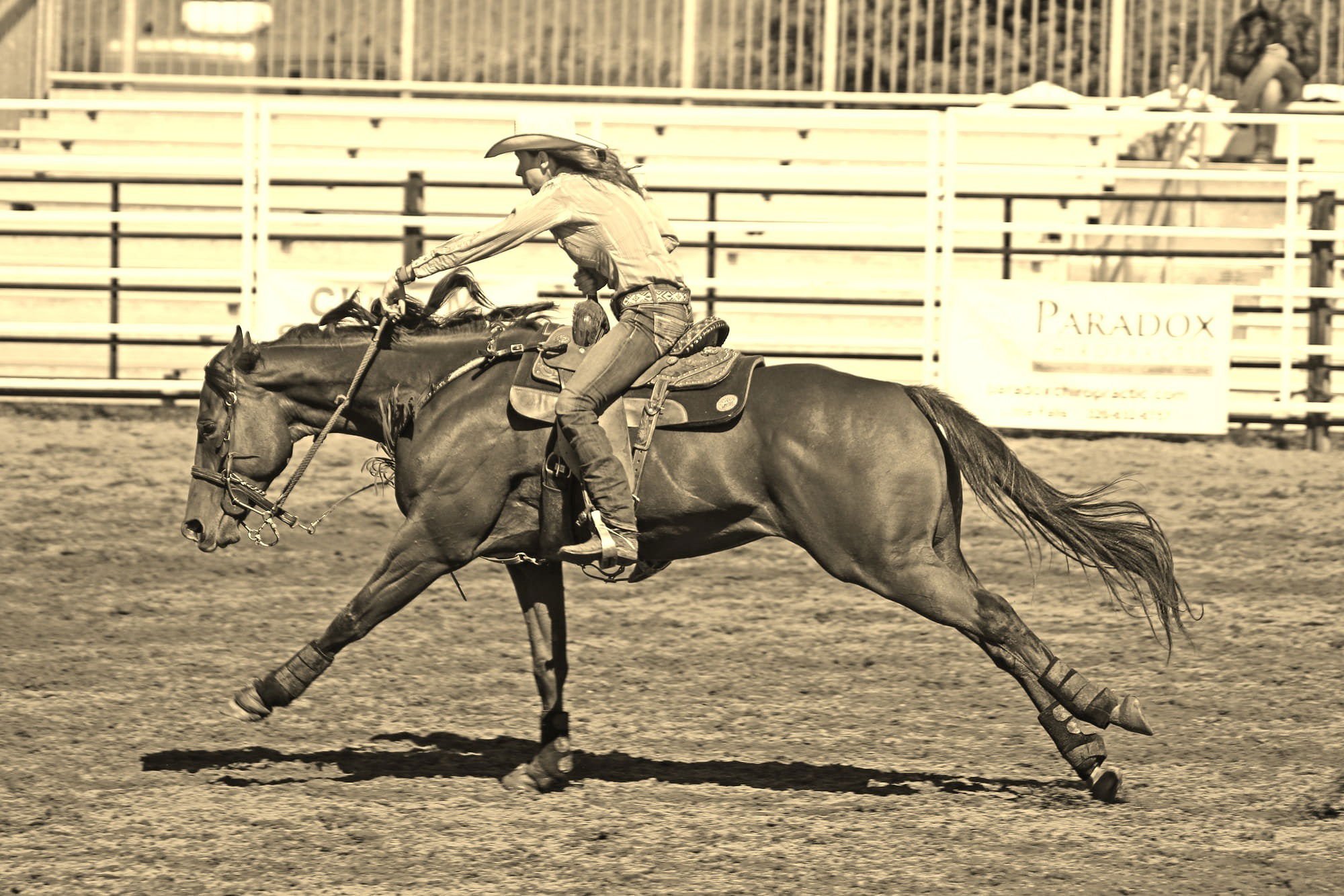 SARAH.ANN.ROSE - SARAH ANN ROSE