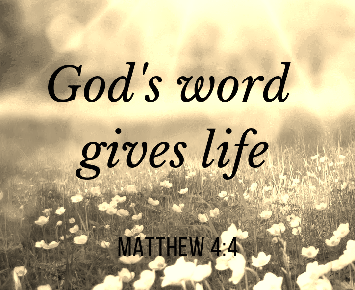 SARAH.ANN.ROSE - SARAH ANN ROSE