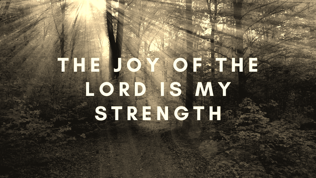 SARAH.ANN.ROSE - SARAH ANN ROSE