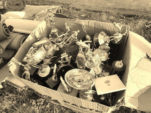 We Strive for the prize. - SARAH.ANN.ROSE