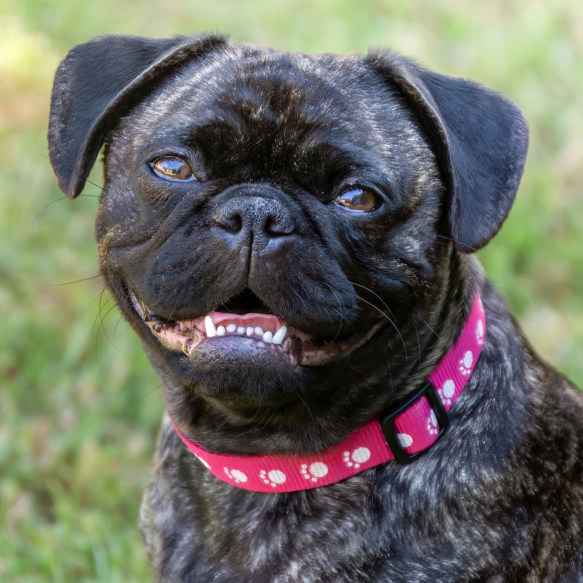 Devine Moments Photography