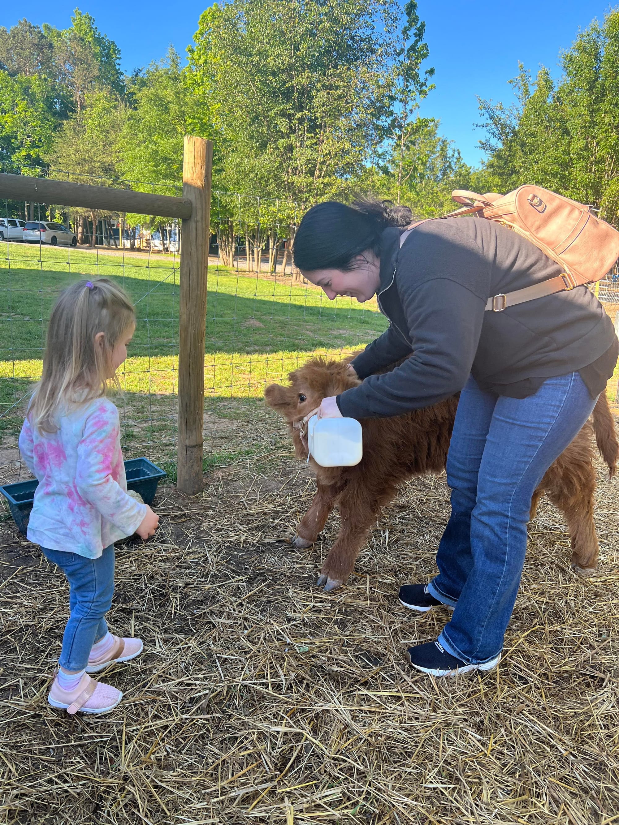 Camacho’sMiniFarmAcres - Camacho's Mini Farm Acres