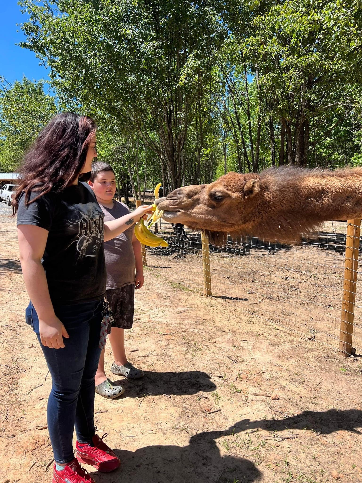 Camacho’sMiniFarmAcres - Camacho's Mini Farm Acres