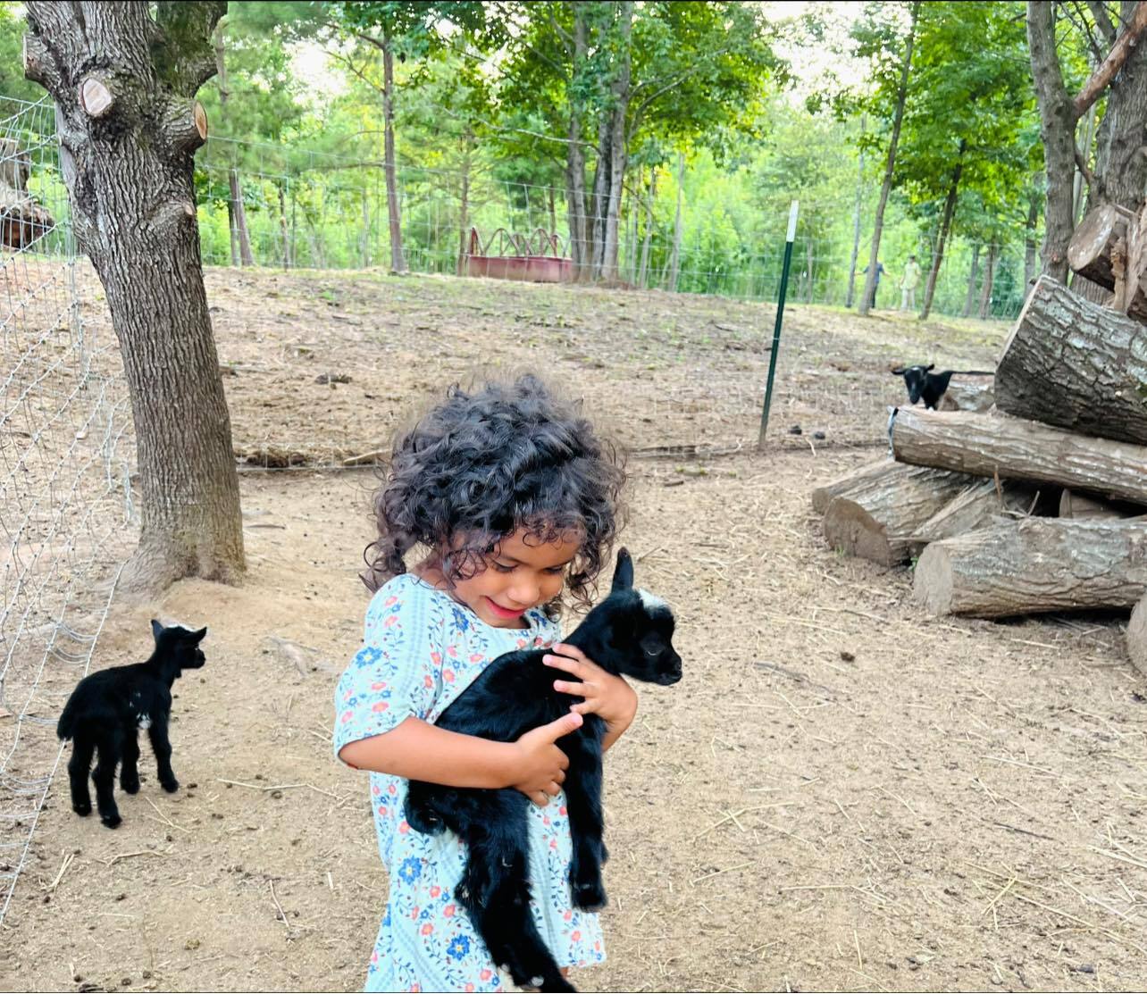 Camacho’sMiniFarmAcres - Camacho's Mini Farm Acres