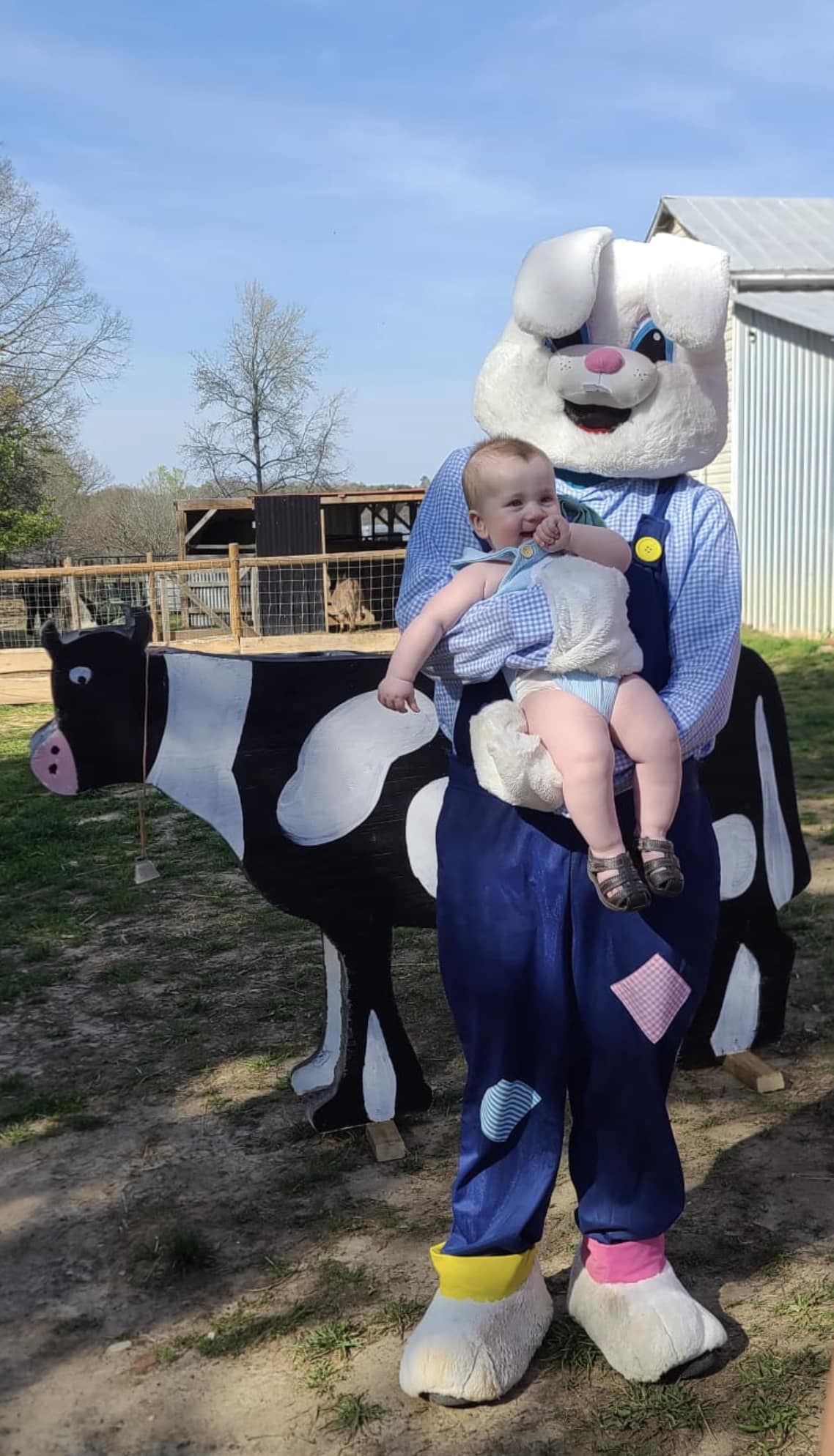 Camacho’sMiniFarmAcres - Camacho's Mini Farm Acres