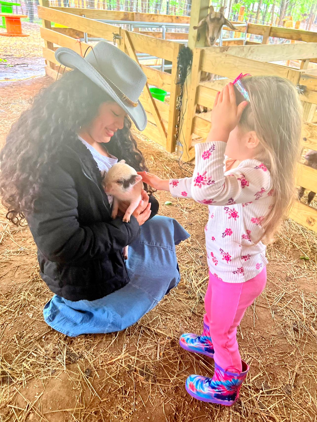 Camacho’sMiniFarmAcres - Camacho's Mini Farm Acres