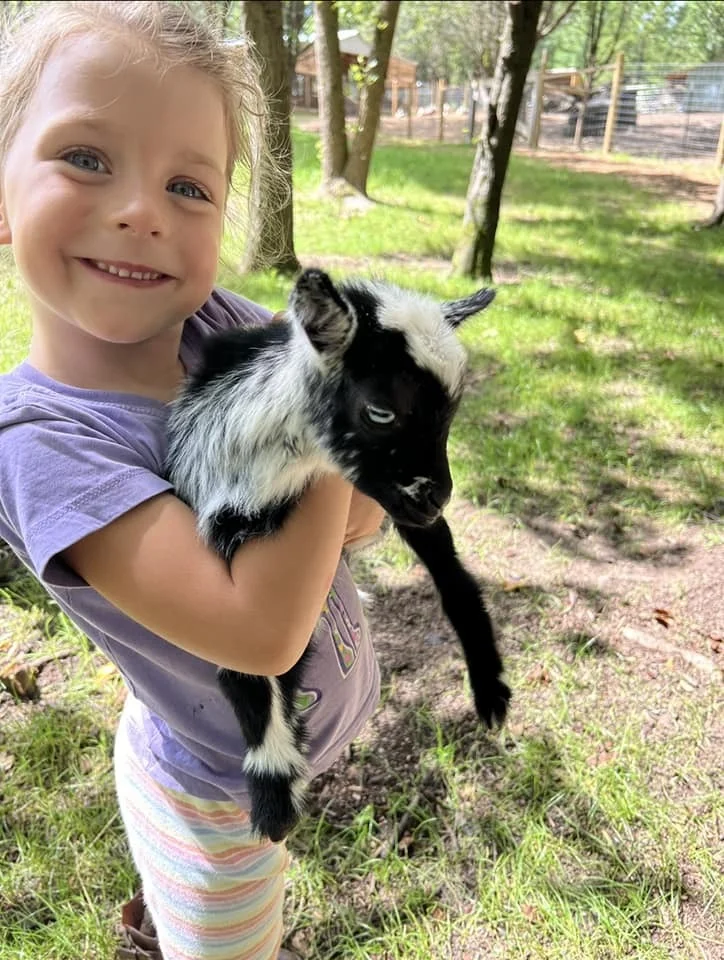 Camacho’sMiniFarmAcres - Camacho's Mini Farm Acres