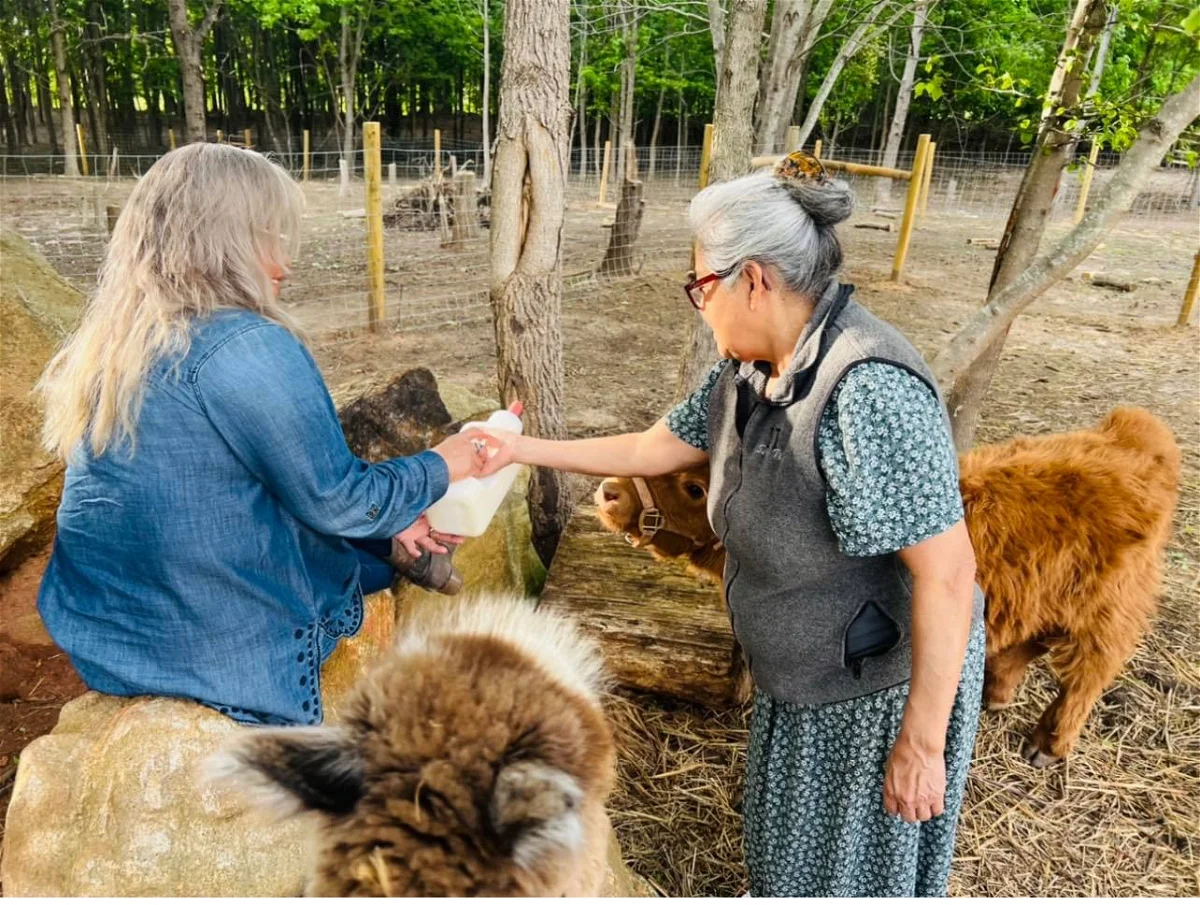 Camacho’sMiniFarmAcres - Camacho's Mini Farm Acres