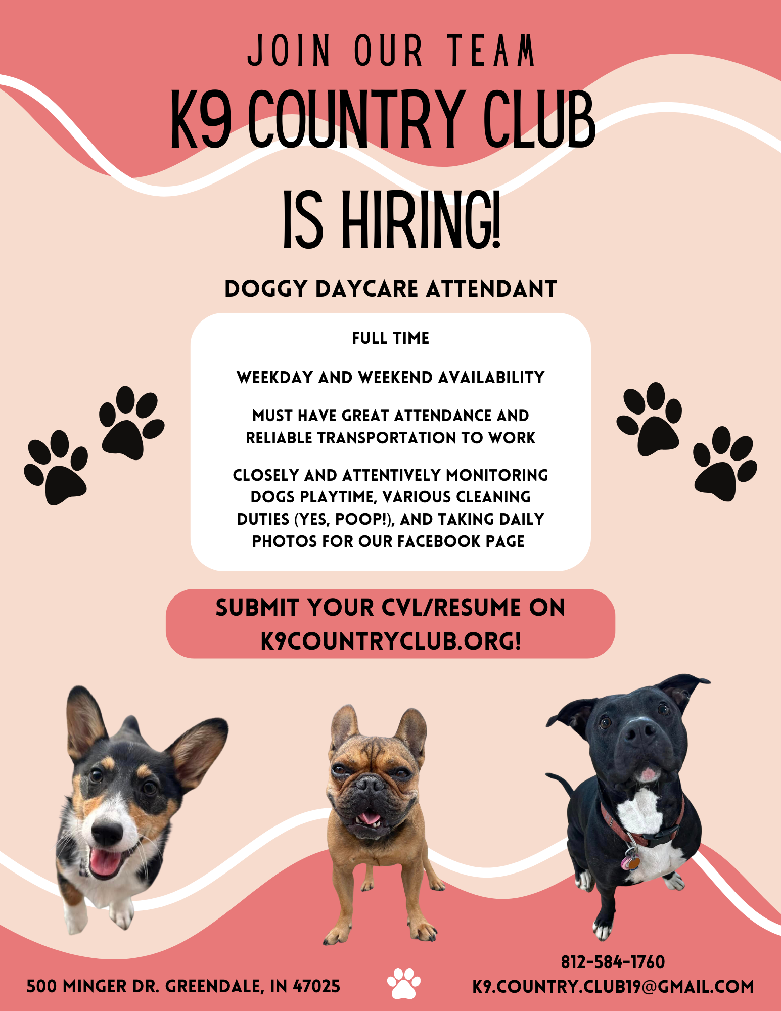 K9 COUNTRY CLUB - New Title