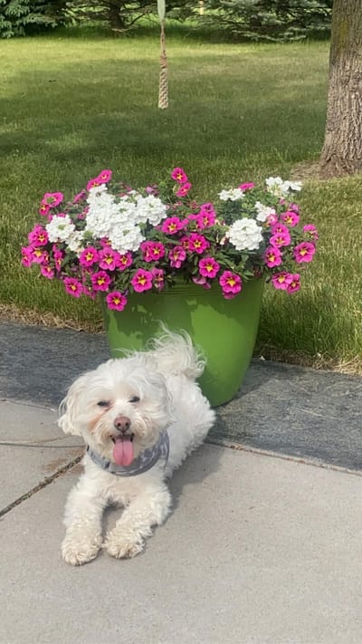 Frank&Friends - Welcome to Frank&Friends, We provide stylish ...