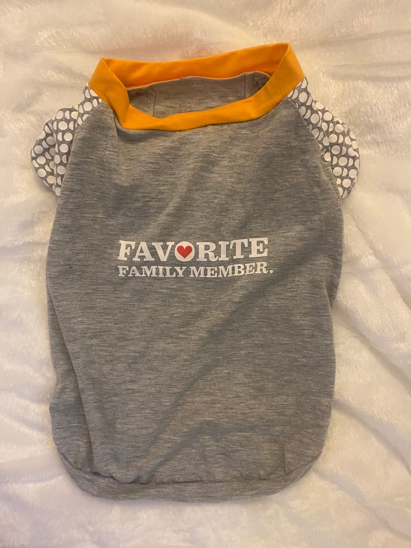 Frank&Friends - Welcome to Frank&Friends, We provide stylish ...