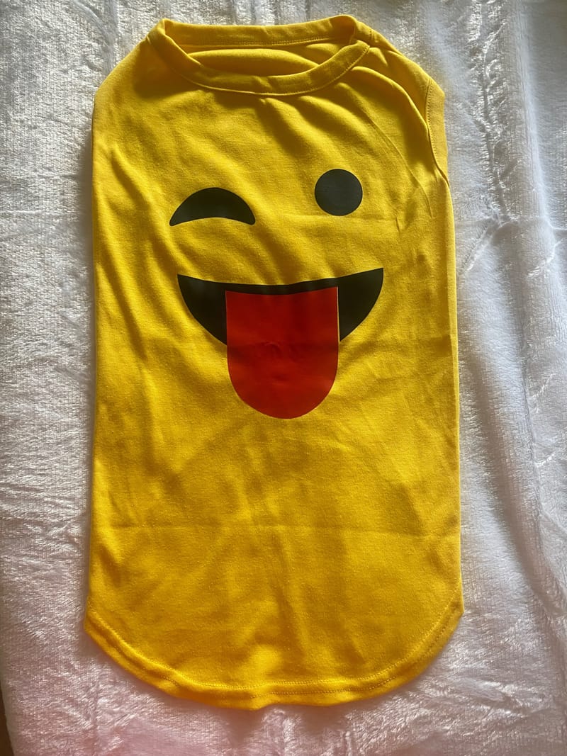 Frank&Friends - Welcome to Frank&Friends, We provide stylish ...