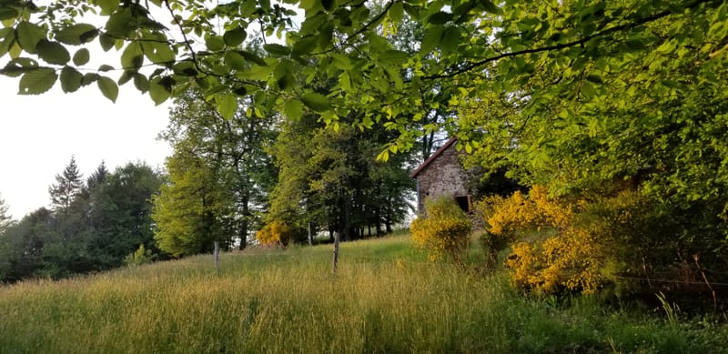 MayC Arts et Energies - Des temps pour soi