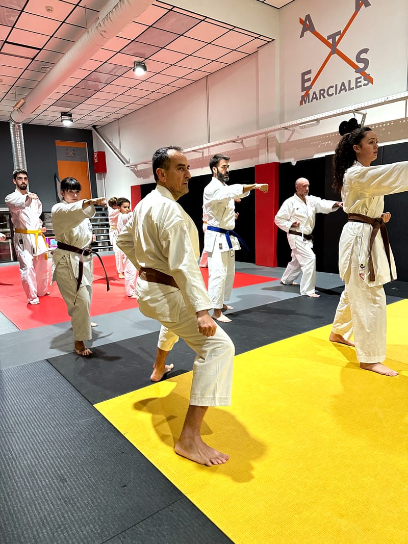 Beneficios del karate para adultos. - Club de Karate Ángel Ramiro