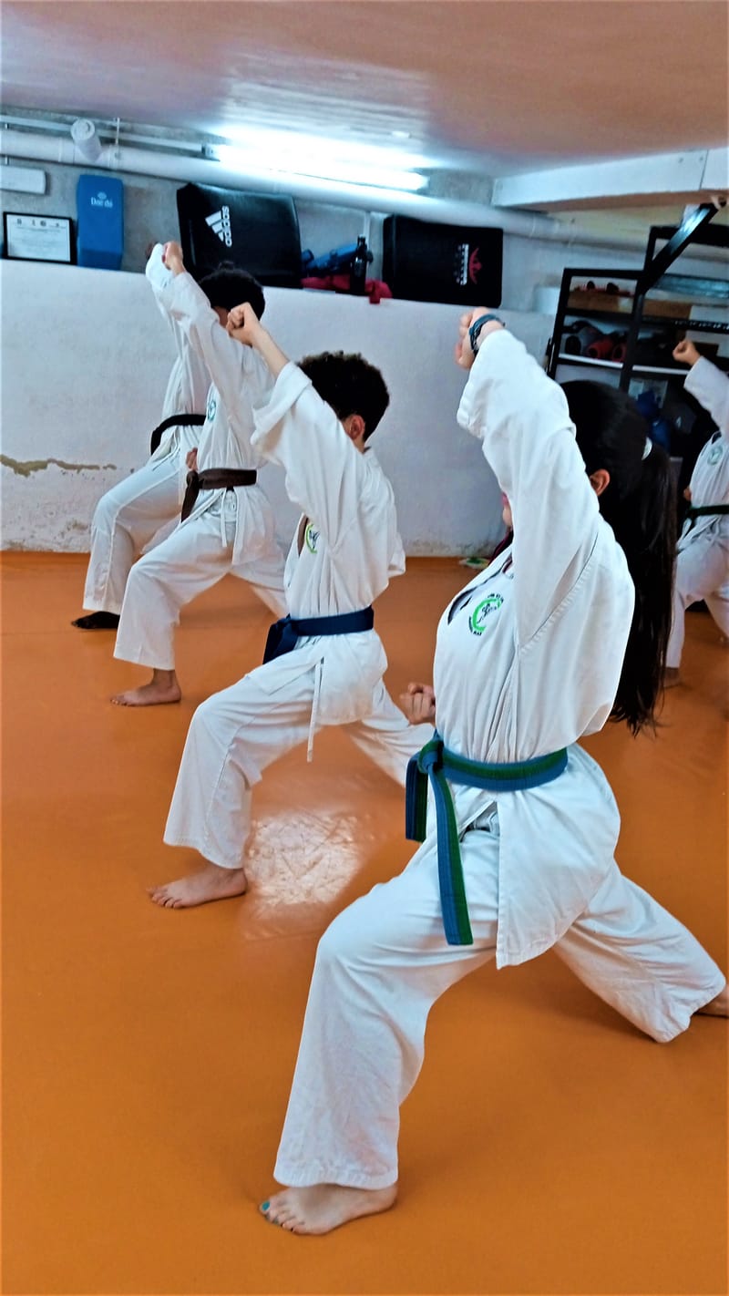 Clases de karate en Madrid