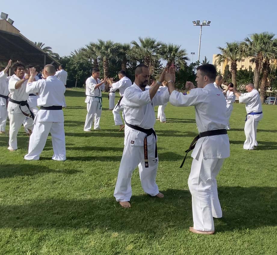 KYOKUSHIN WORLD ALLIANCE (KWA) - Uniting the World with the: Kyokushin World Alliance (KWA)... OSU!