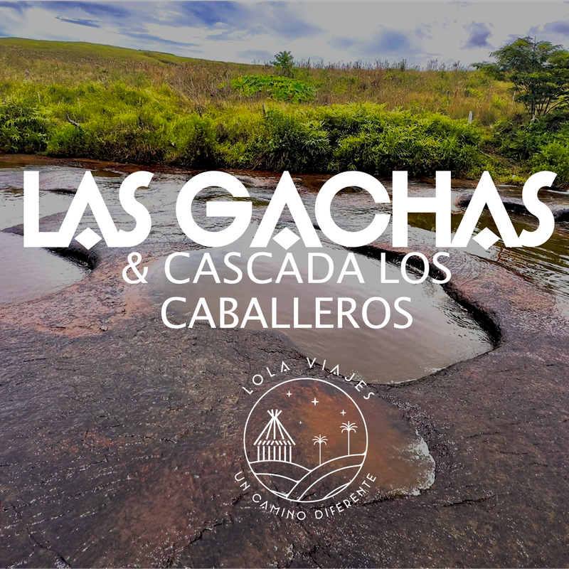 GACHAS DESCRIPCIÓN - LOLA VIAJES