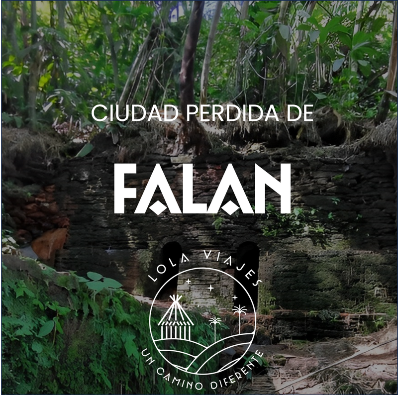 FALAN TOLIMA DESCRIPCIÓN - LOLA VIAJES