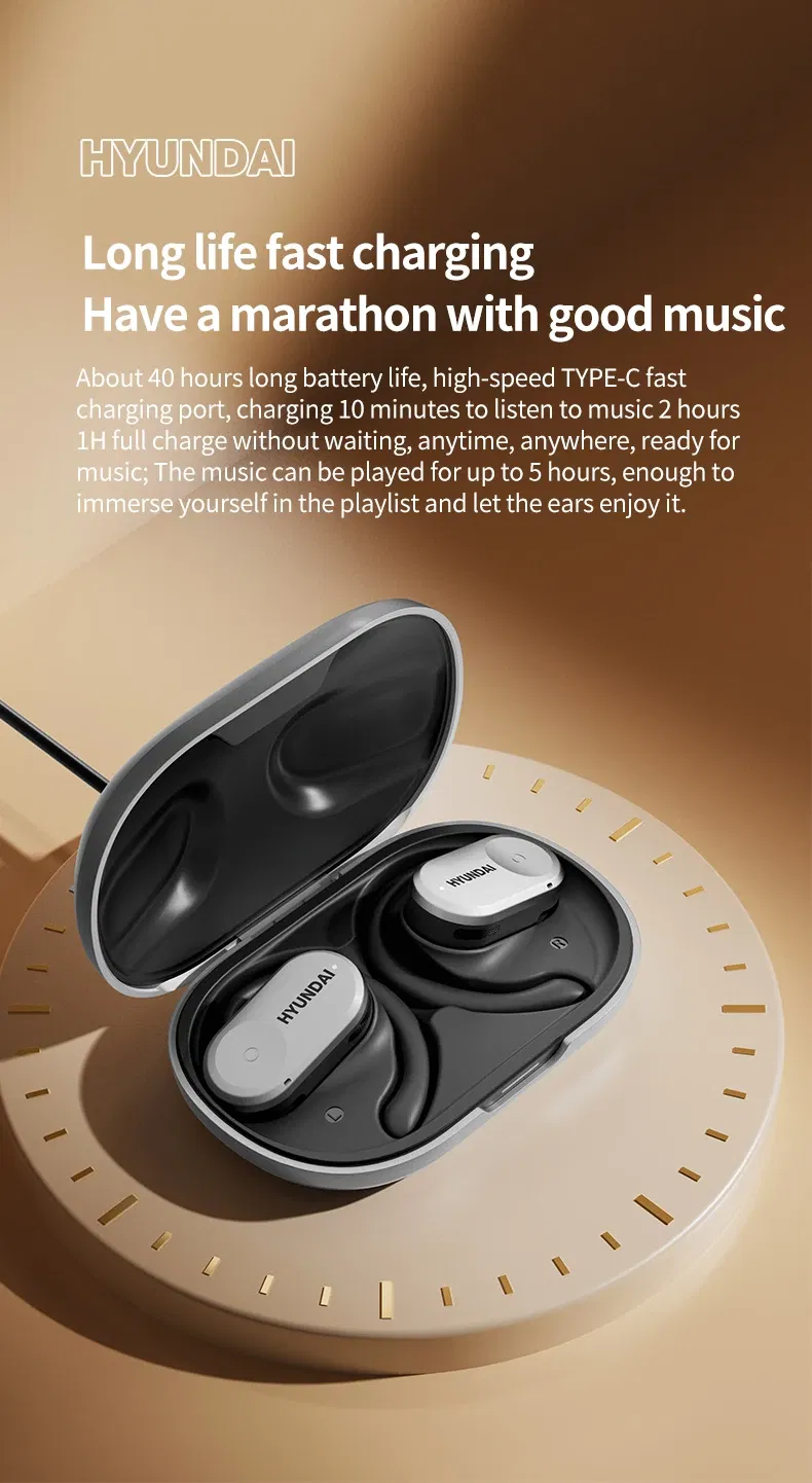 Copycat Electronics Store