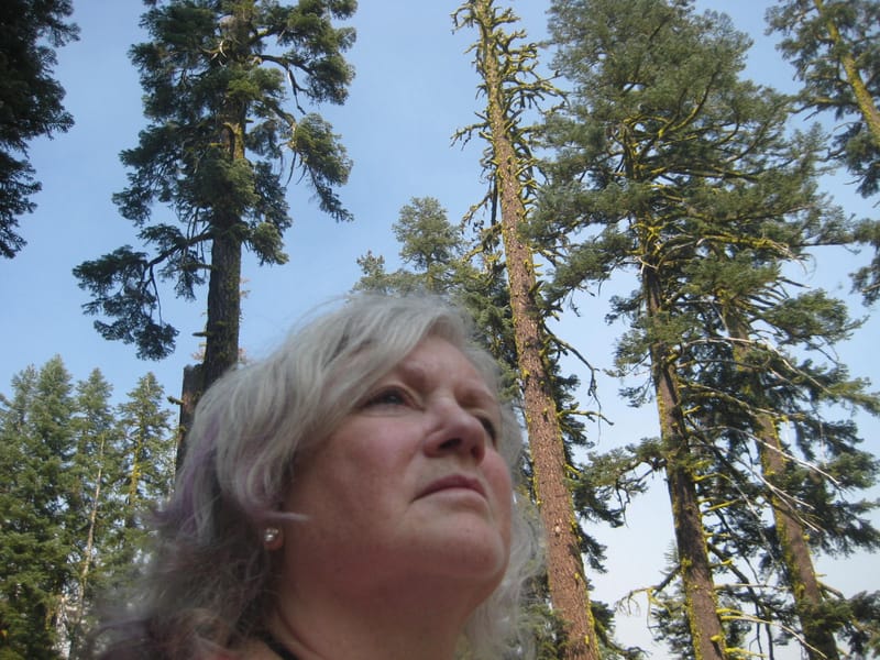 Michelle Currie's Website - Learn to Flourish with Coach Michelle