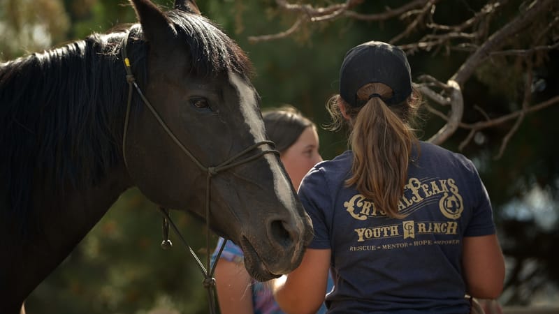 Tim Whiting II - Tim Whiting II