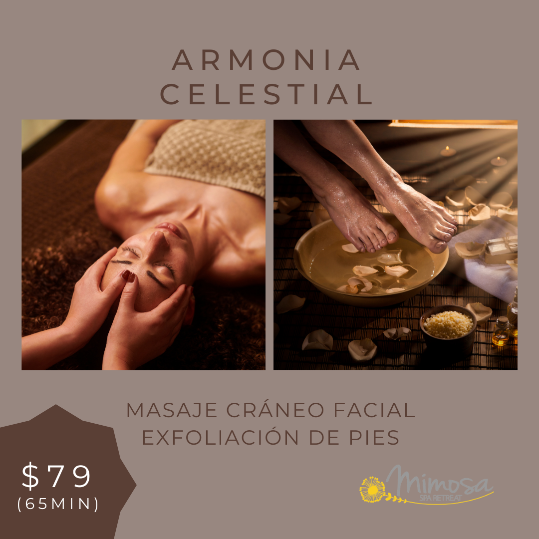 Mimosa Spa Retreat - Descubre el poder curativo del masaje.