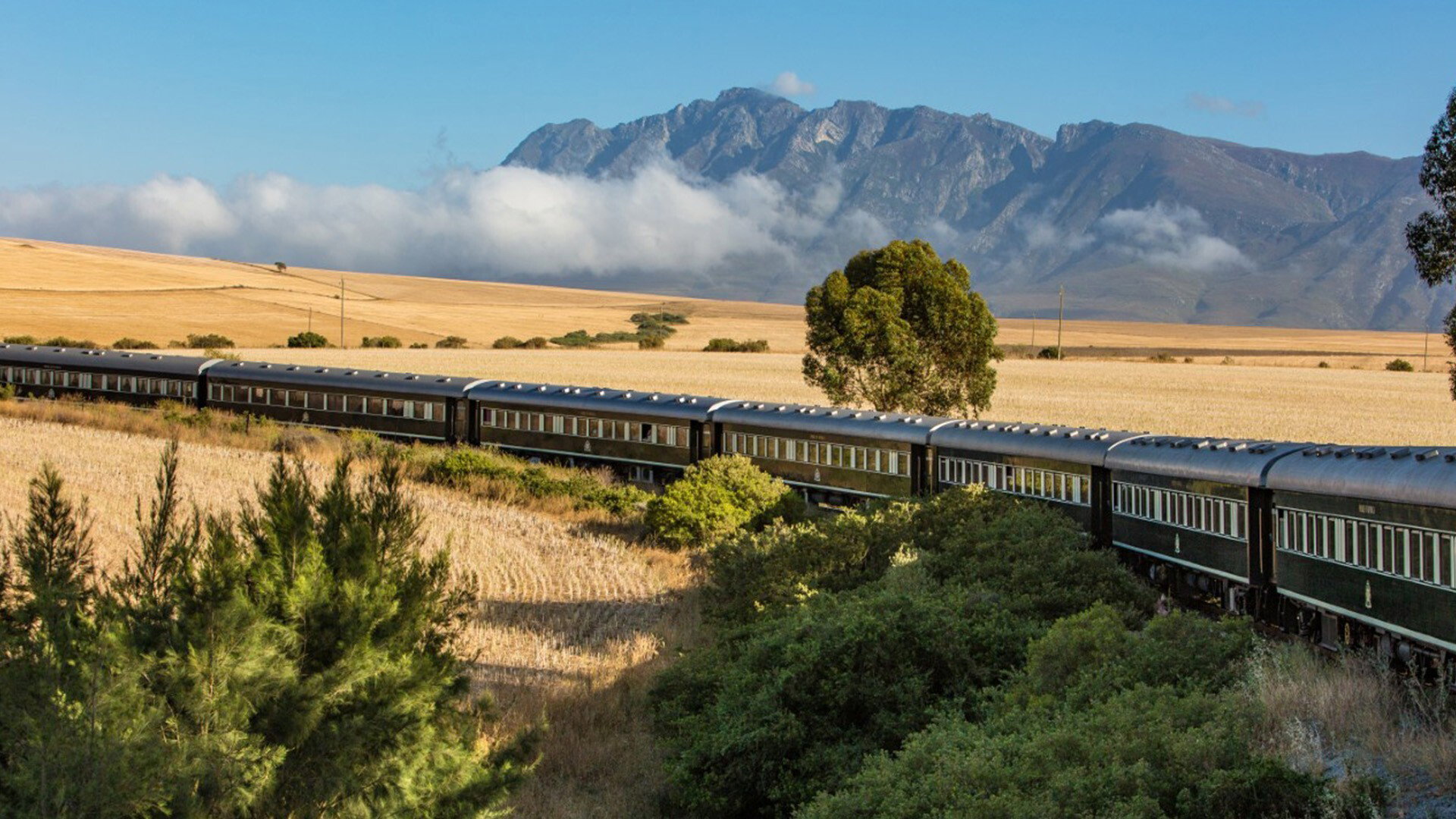 Rovos Rail | The Pride Of Africa