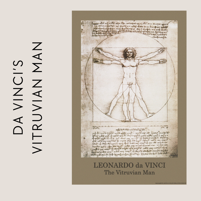 Da Vinci Vitruvian Man Poster