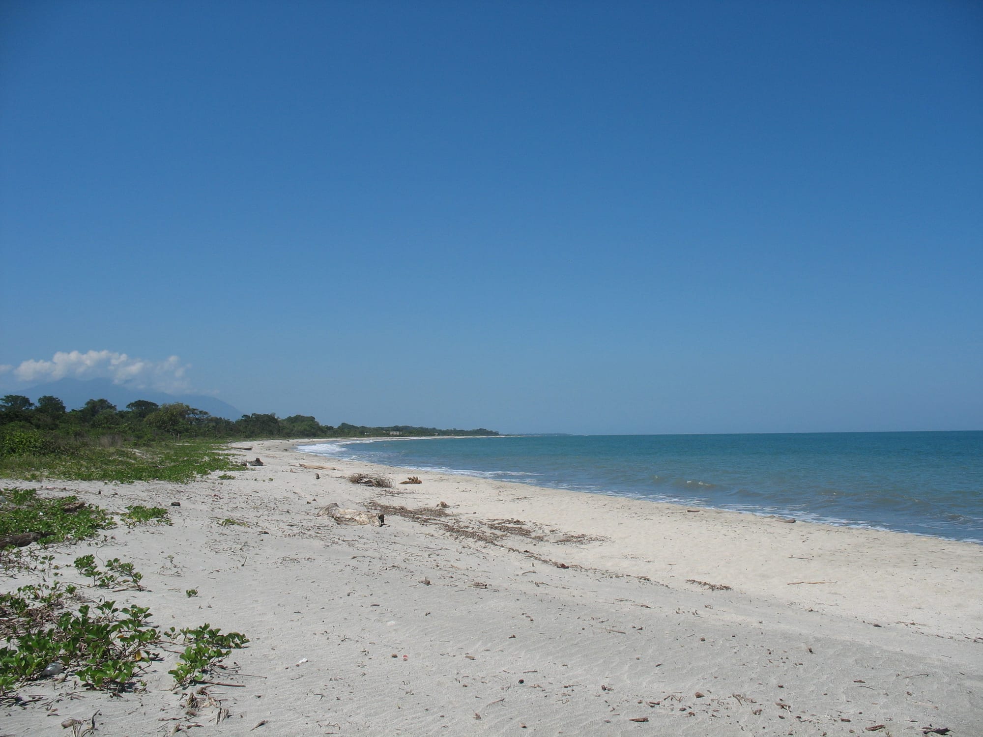 Balfate Beach Properties - Beautiful, Affordable Tropical Properties