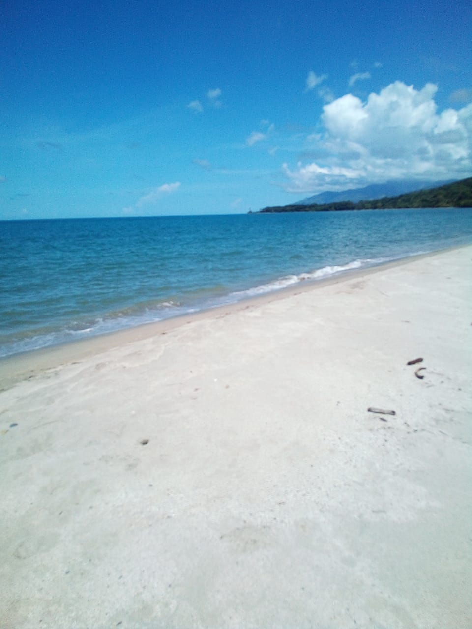 Balfate Beach Properties - Beautiful, Affordable Tropical Properties